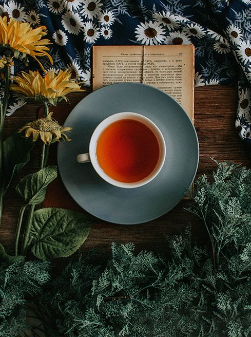 Buy Gourmet Coffee | Coffee Club | Home Delivery | Gifts - Boca Java